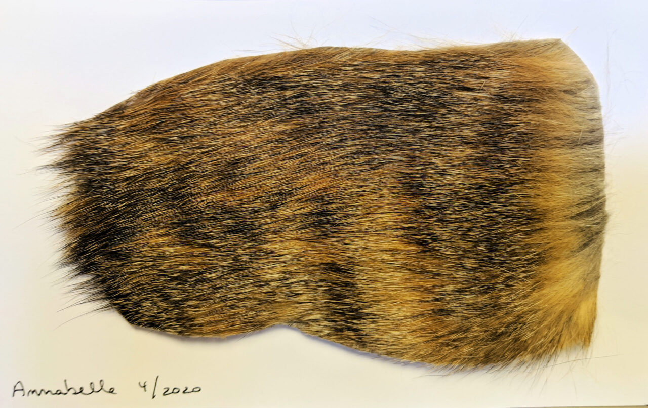 Fur Clipping & Fur Capture - Radiant Heart After-Care for Pets