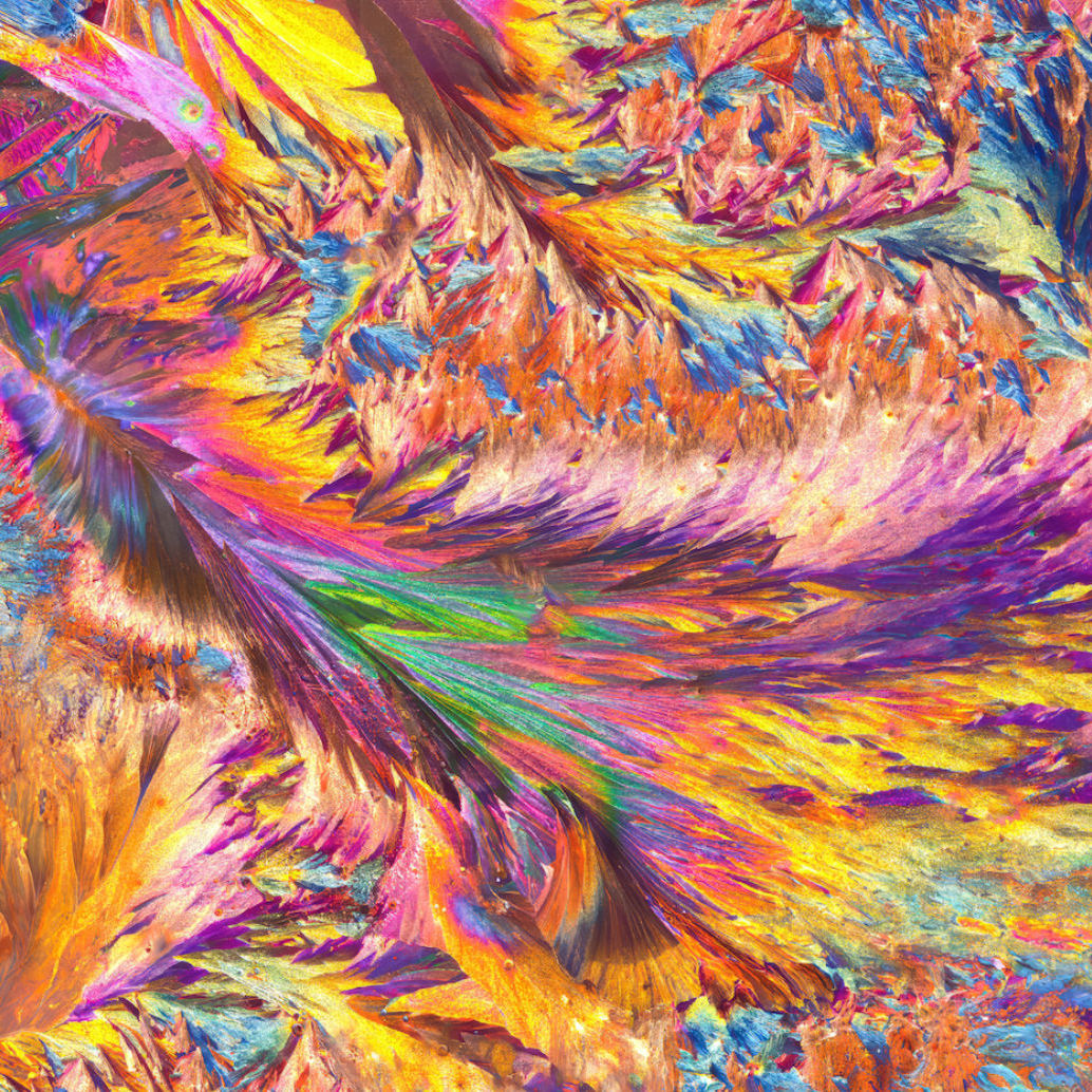 EverAfter Art - Radiant Heart After-Care for Pets