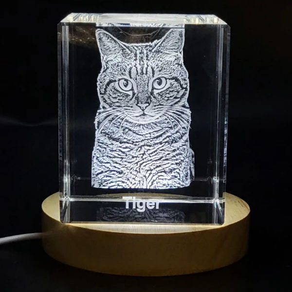 FreezePix 3-D Crystal Portrait - Radiant Heart After-Care for Pets