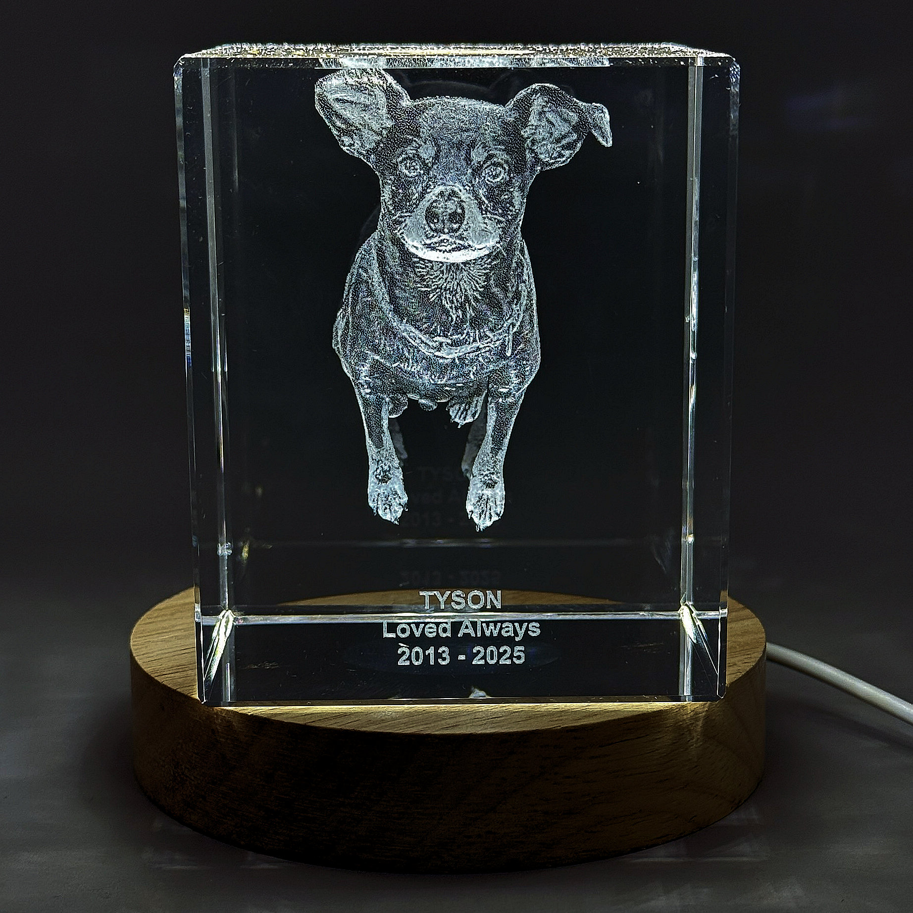 FreezePix 3-D Crystal Portrait - Radiant Heart After-Care for Pets