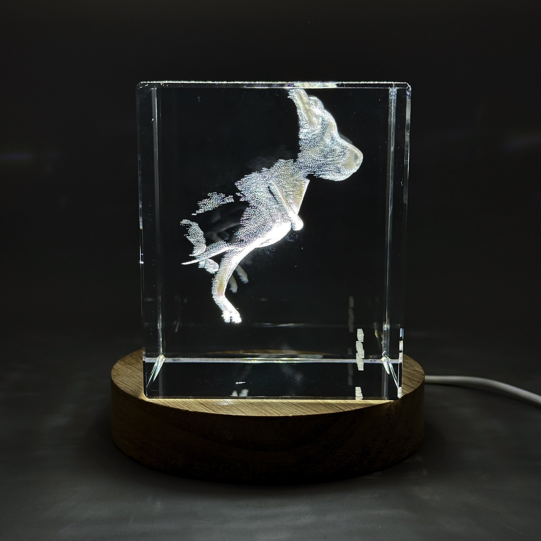 FreezePix 3-D Crystal Portrait - Radiant Heart After-Care for Pets